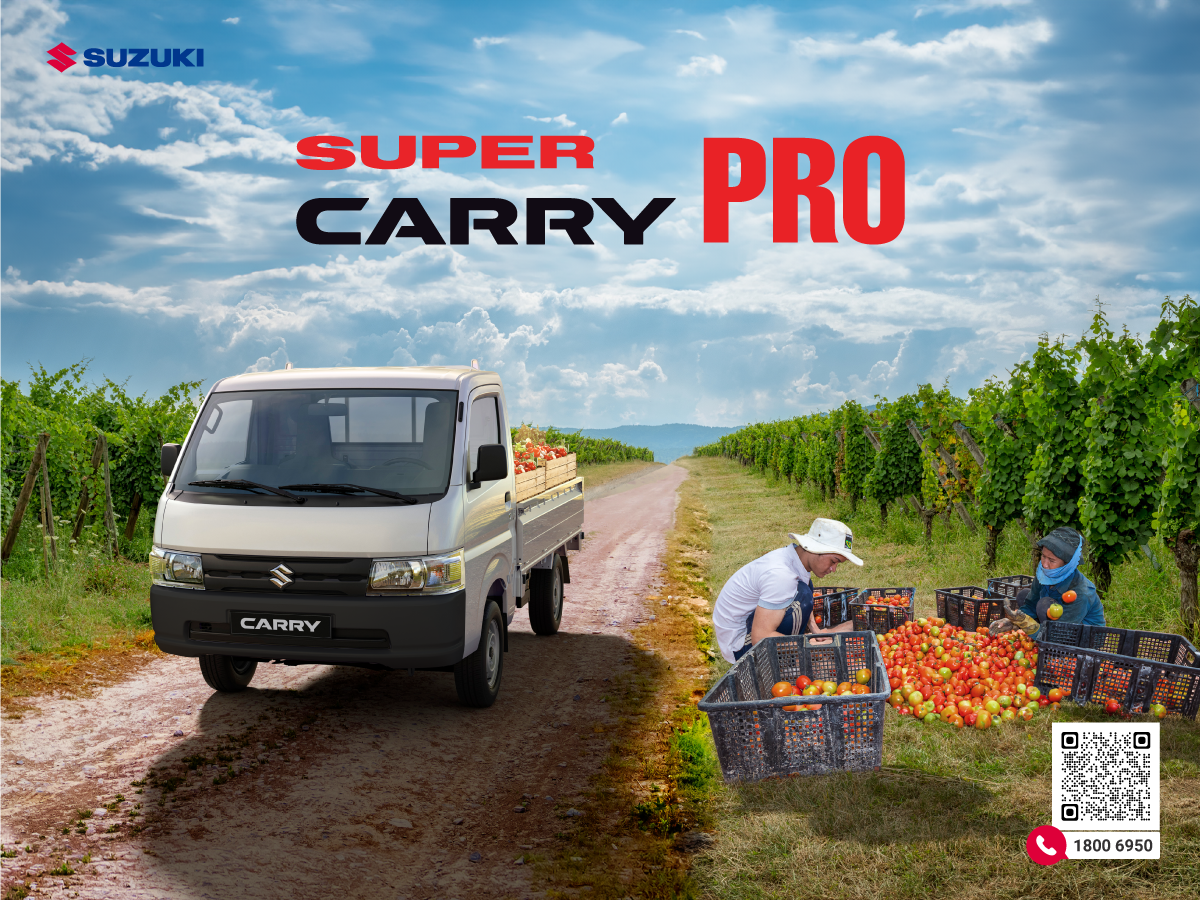 Suzuki Carry Pro